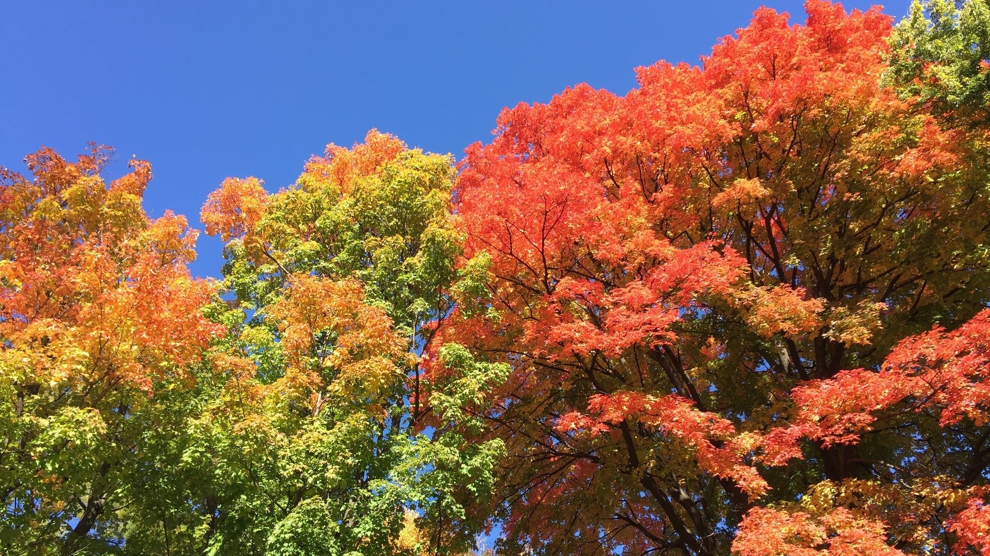 Warm start to the week, then chilly temps later; thunderstorm chance ...
