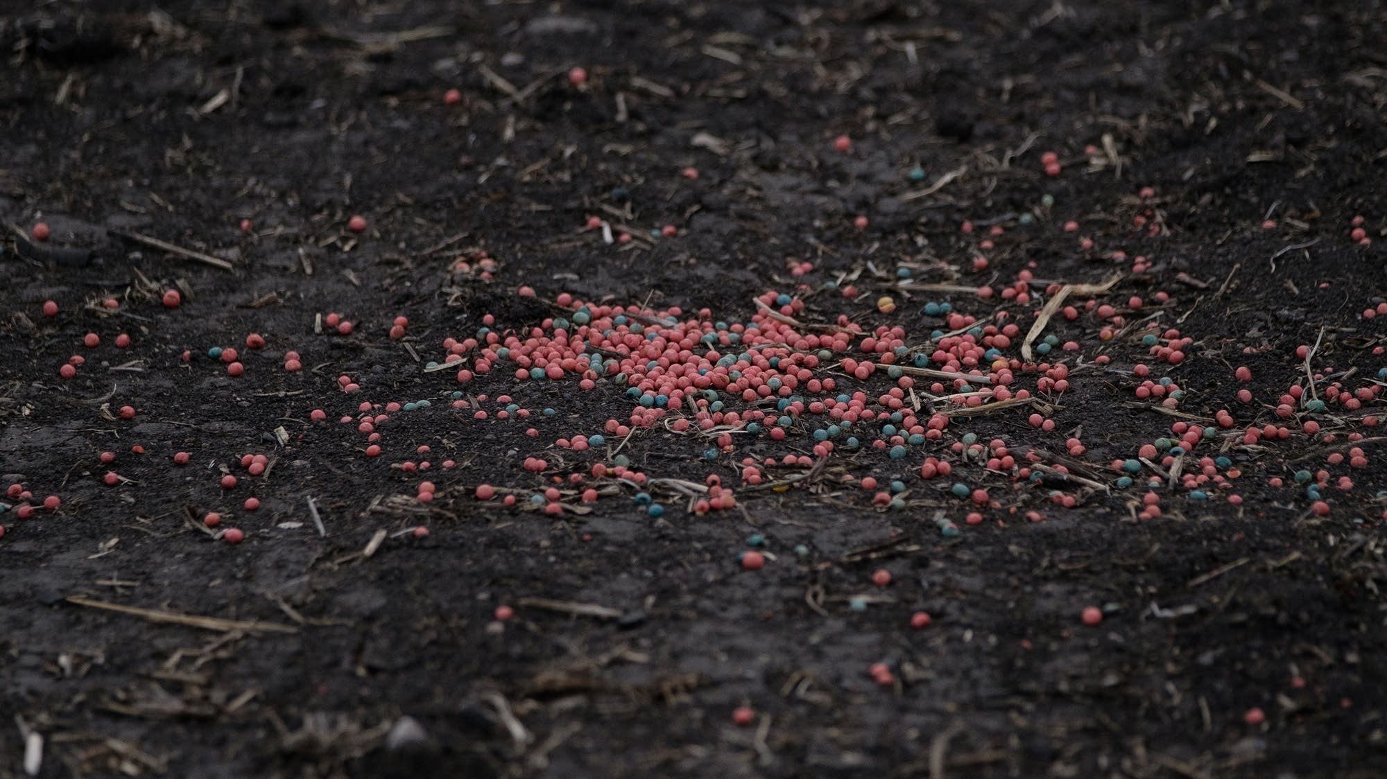 Researchers find insecticides widespread in Minnesota lakes and rivers ...