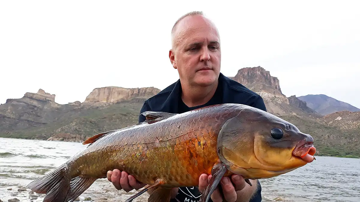 From Minnesota to Arizona, new research tracks a remarkable ...