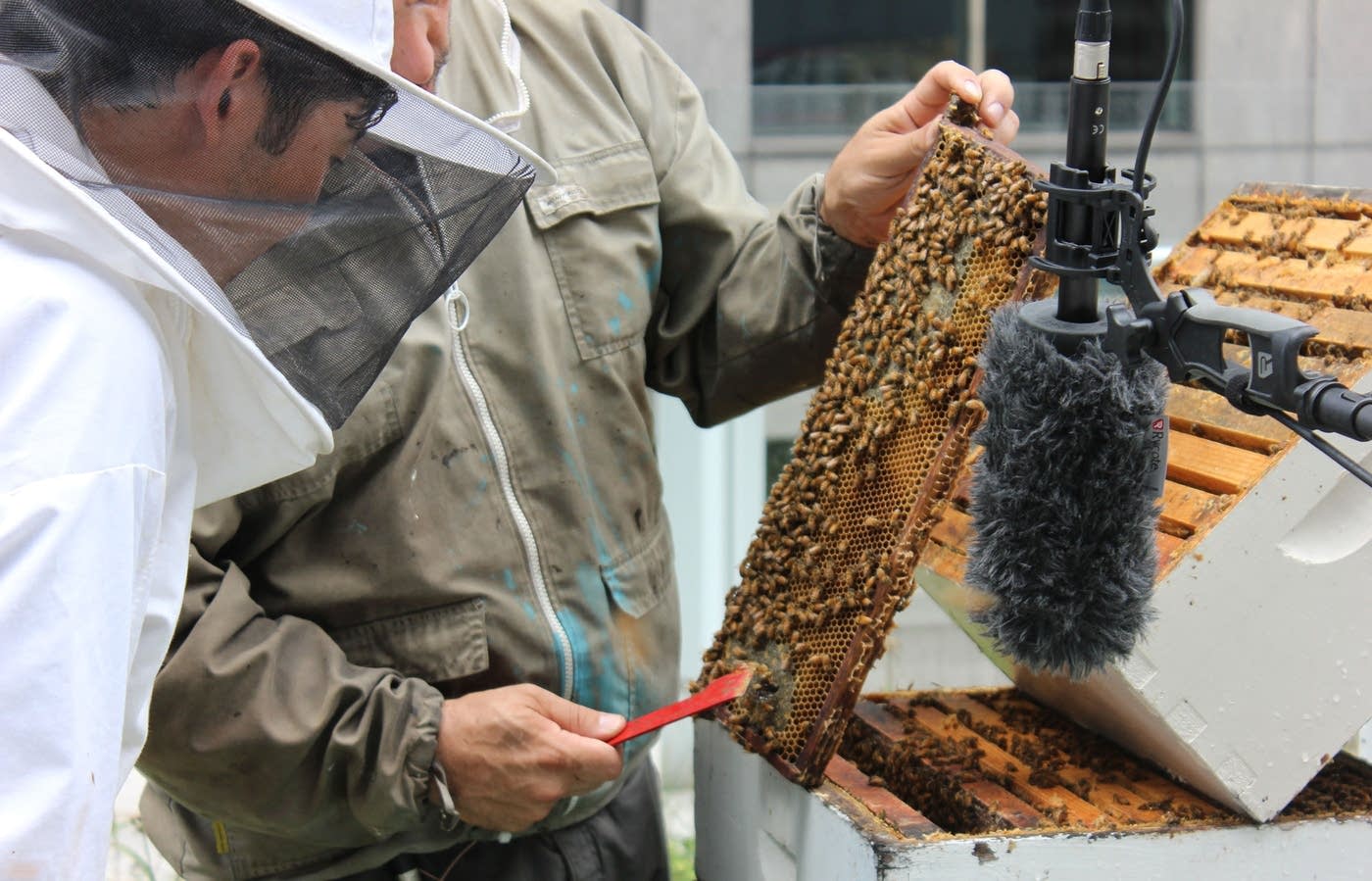 Andrew Coté takes Francis Lam inside the exciting world of urban ...