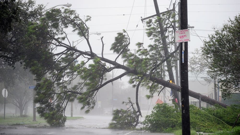 Climate Cast: How hurricanes impact supply chains | MPR News