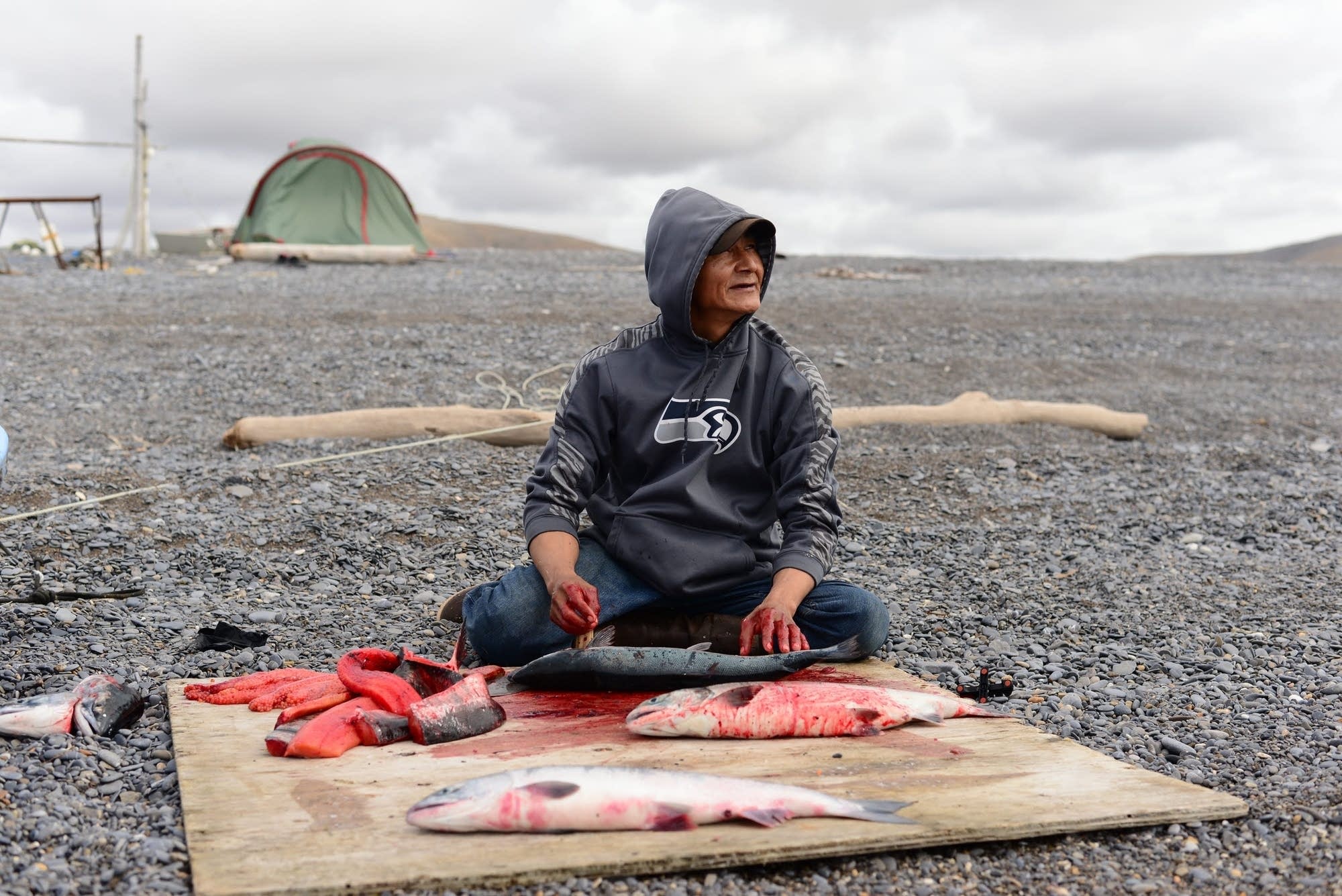 Tesla needs graphite. Alaska has plenty. But mining it raises fears in ...