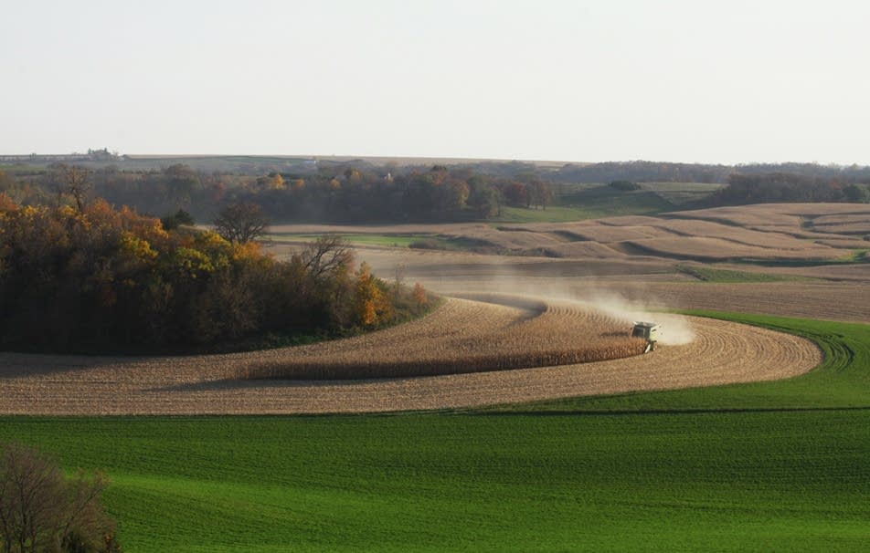 Autumn colors in rural Minnesota | MPR News