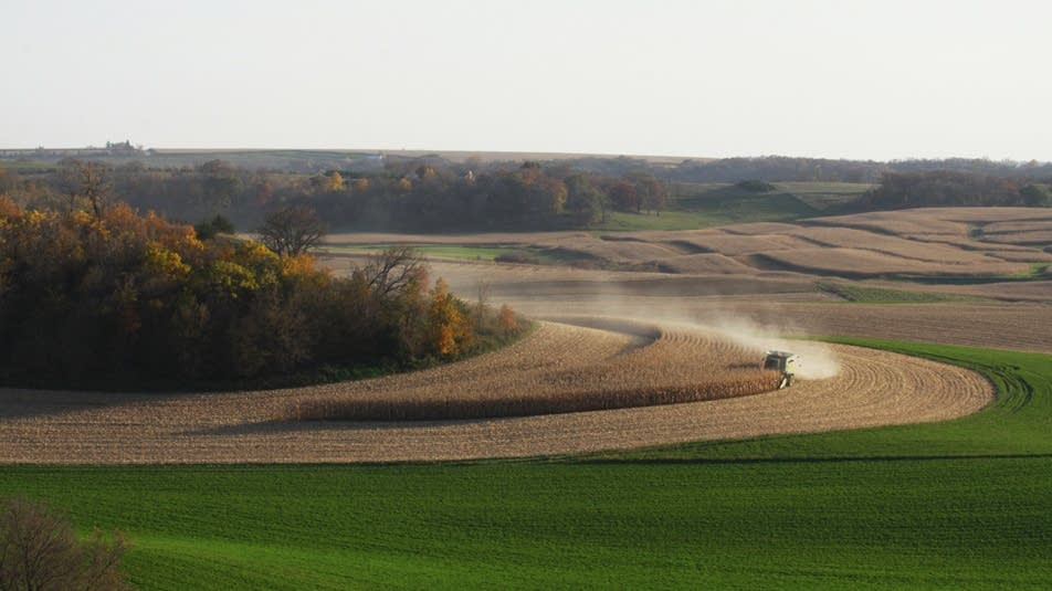 Autumn colors in rural Minnesota | MPR News