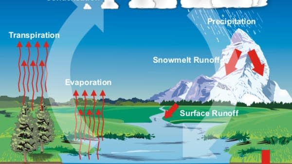Minnesota weather: Mostly melty, partly foggy this week | MPR News