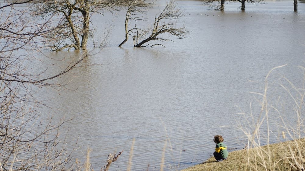 Farm-caused pollution worsening on the Red River | MPR News