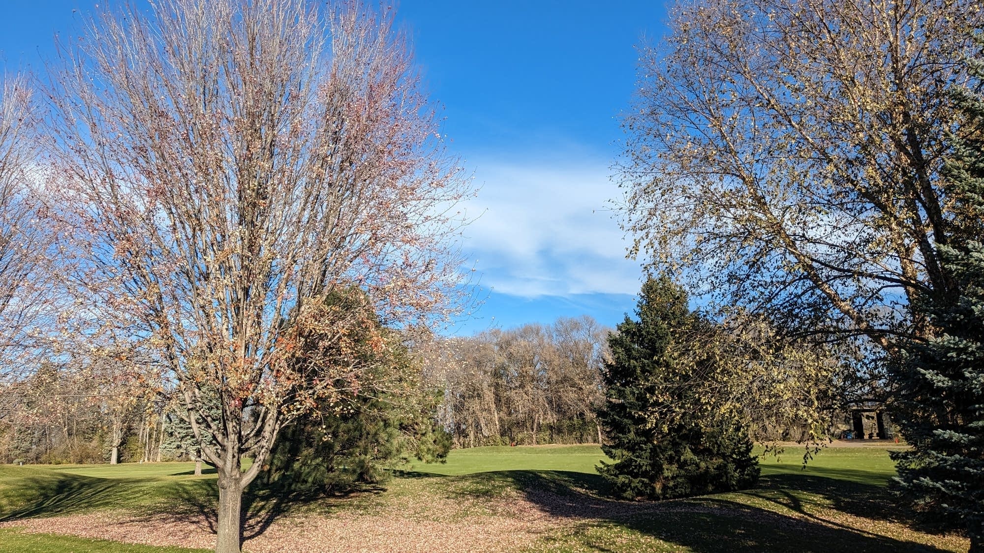 Nice November weekend; widespread soaking rain next week | MPR News