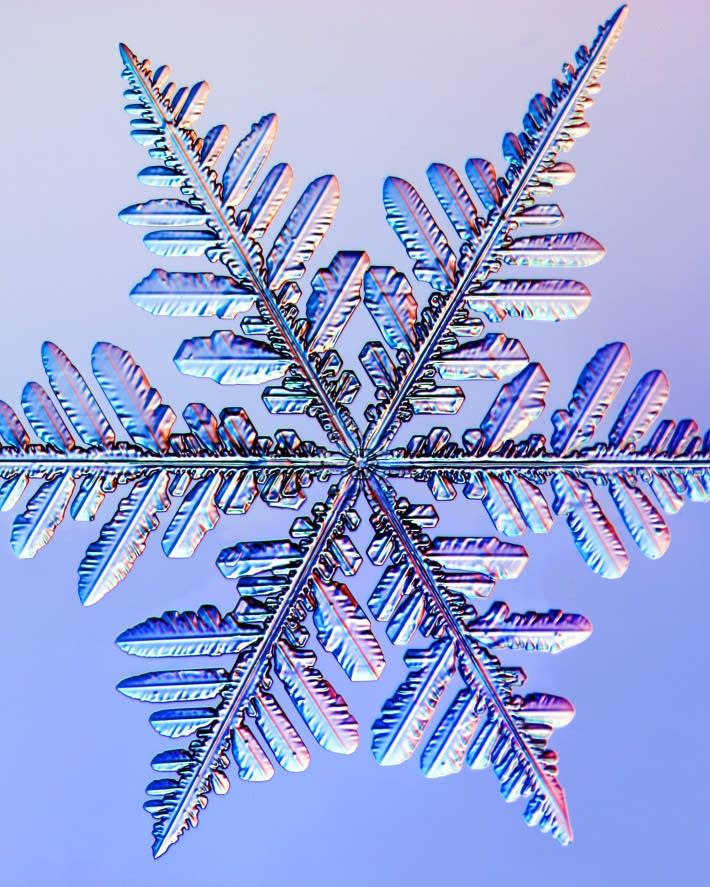 Double Snowflake #2 real stellar dendrites stacked A Fine art image of ...