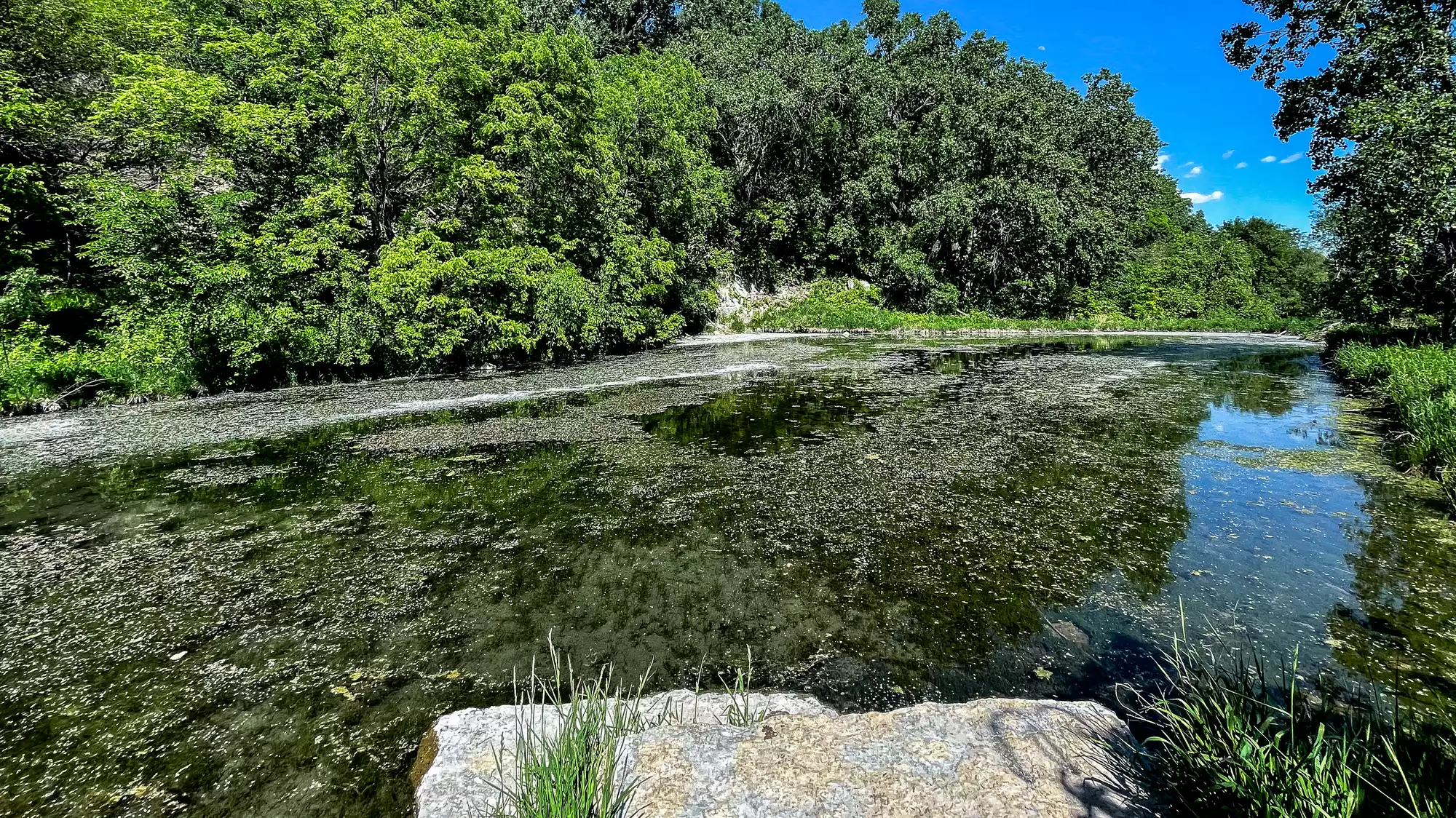 With new name in Dakota, St. Paul nonprofit pushes Indigenous renaming ...