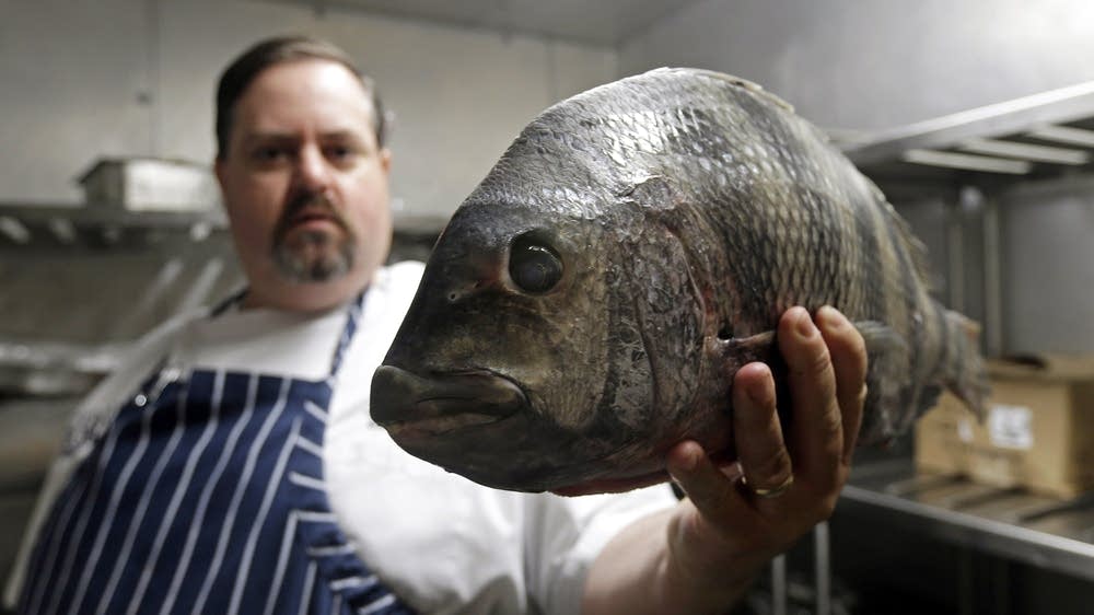 Dishing up trash: New look for sustainable seafood | MPR News