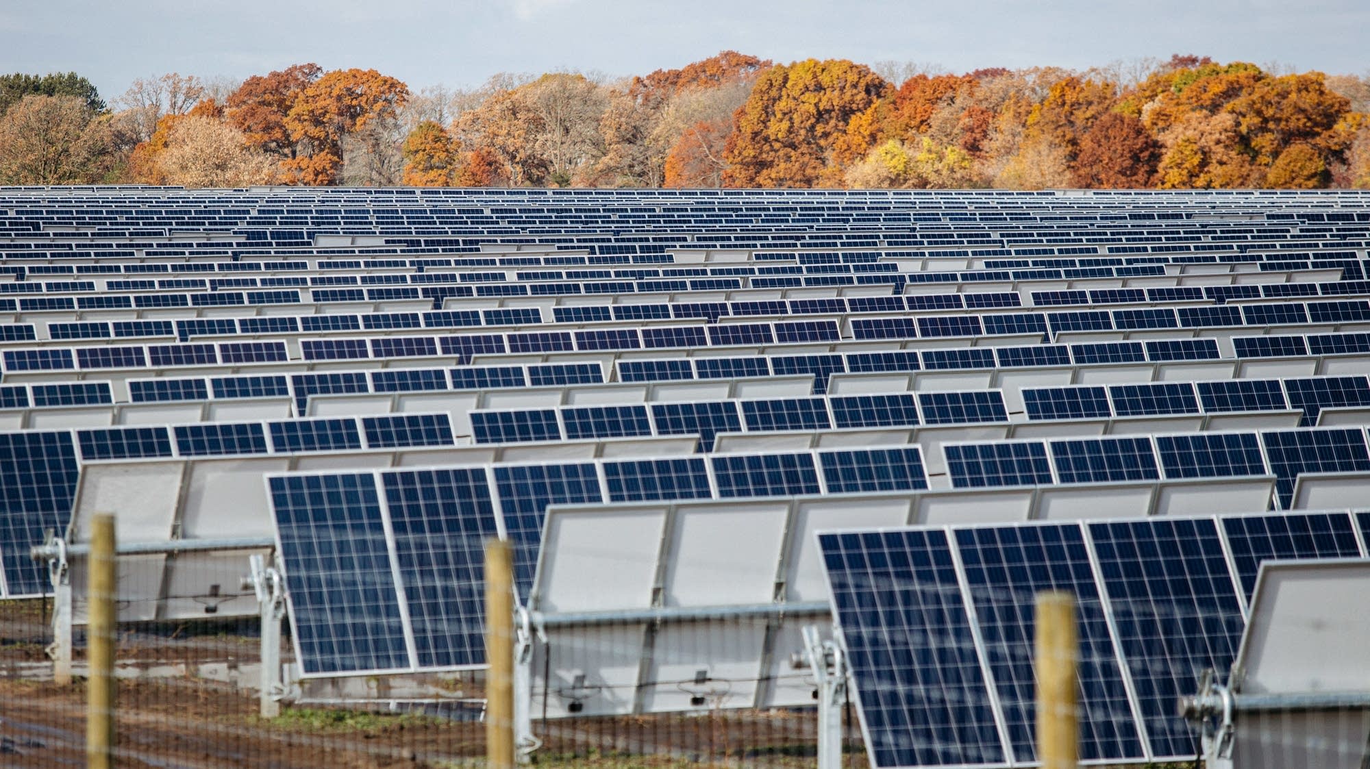 Massive new solar plot marks big changes in rural Minnesota | MPR News