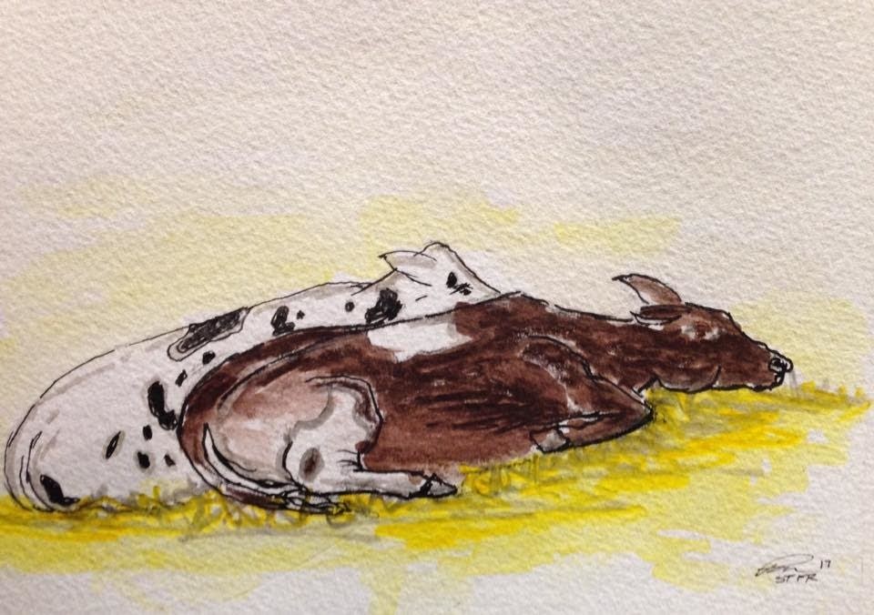 The Minnesota State Fair in sketches | MPR News