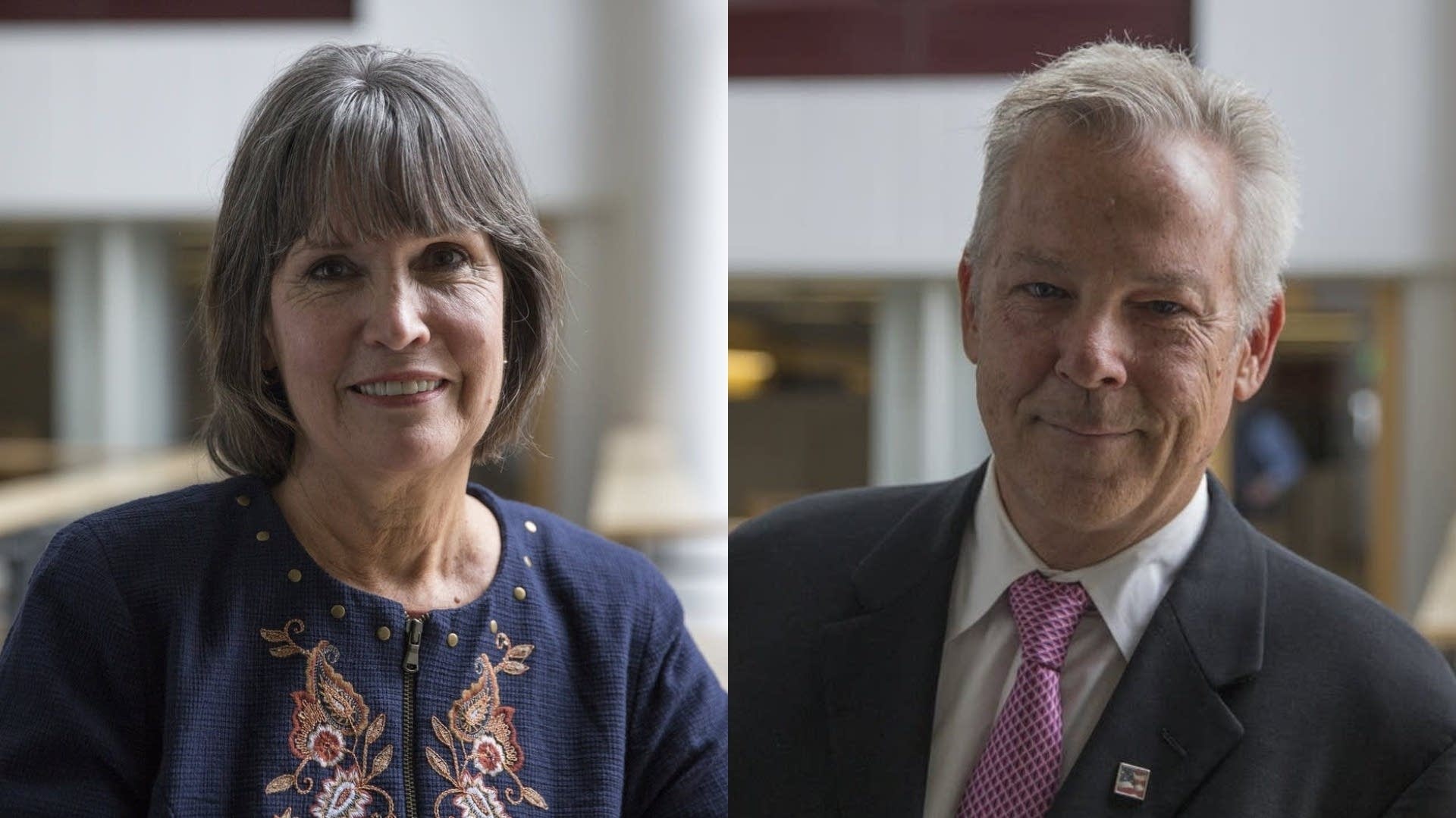 Minnesota voter guide: Where the 4th District candidates stand on the ...