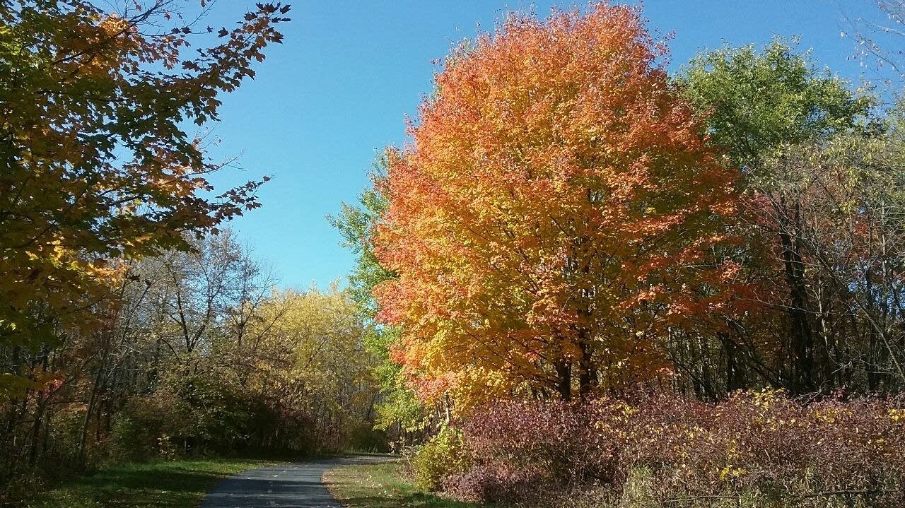 Crisp, cool Sunday; first day of fall | MPR News