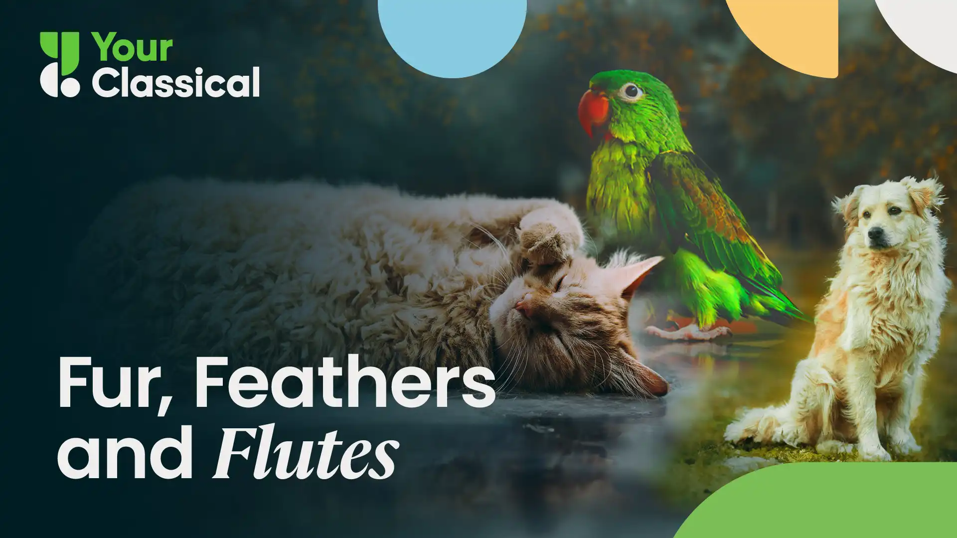 'Fur, Feathers and Flutes'