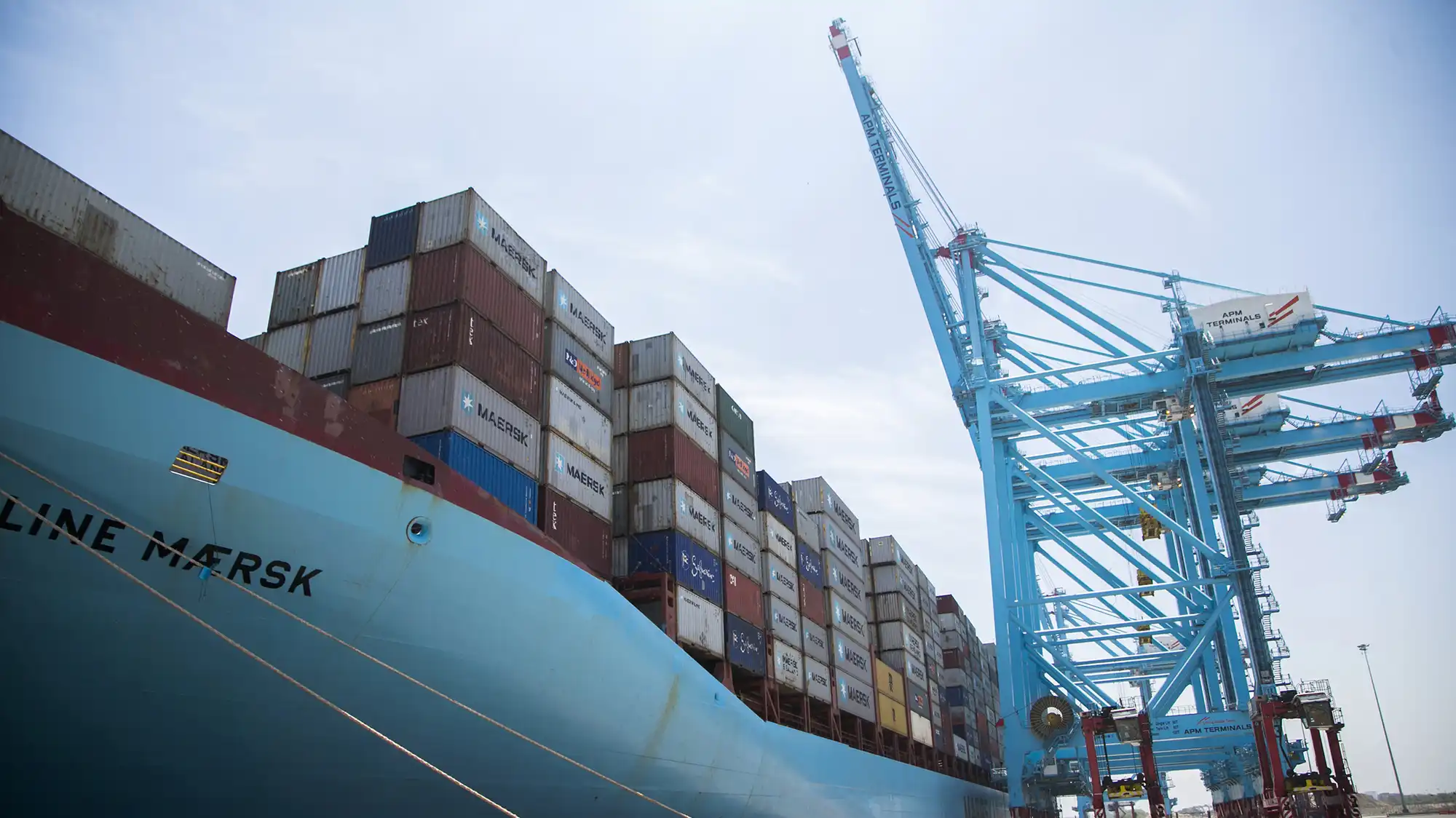 Why Trump's tariffs haven't triggered instant inflation