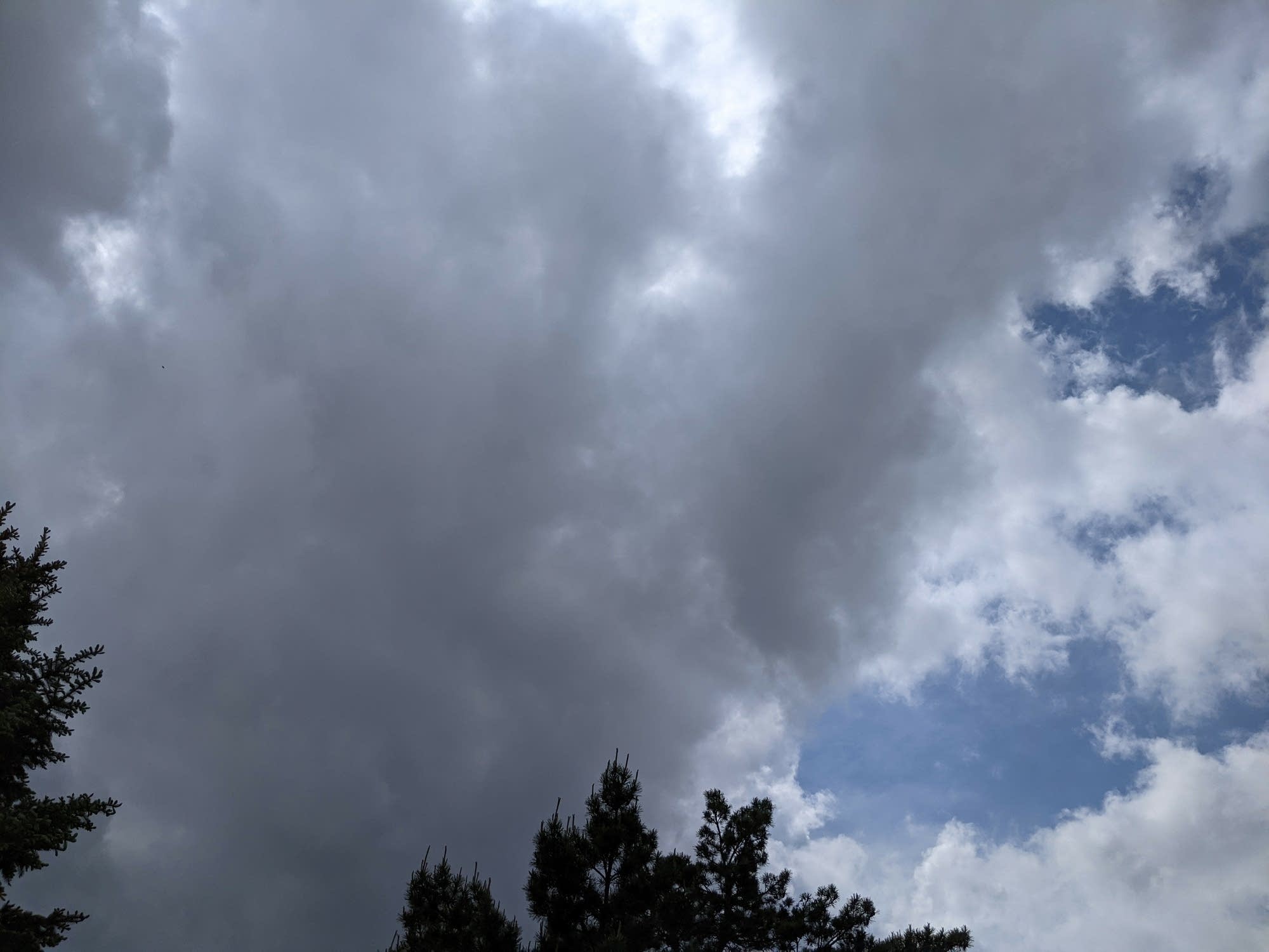 Tropical: Dew point hits 70 degrees at Blaine | MPR News