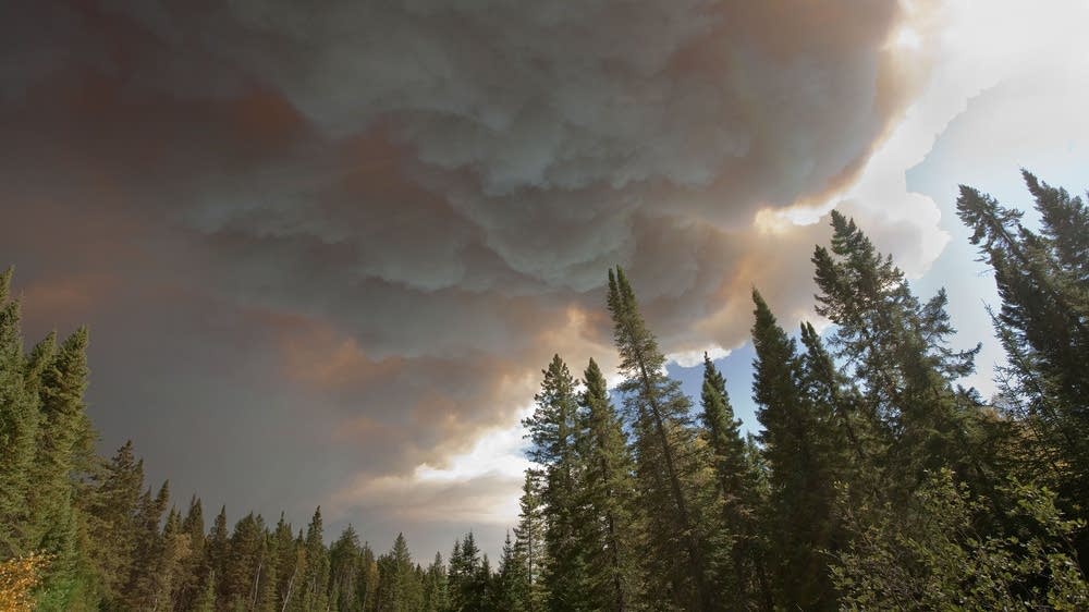 Boundary Waters fire 11 percent contained | MPR News