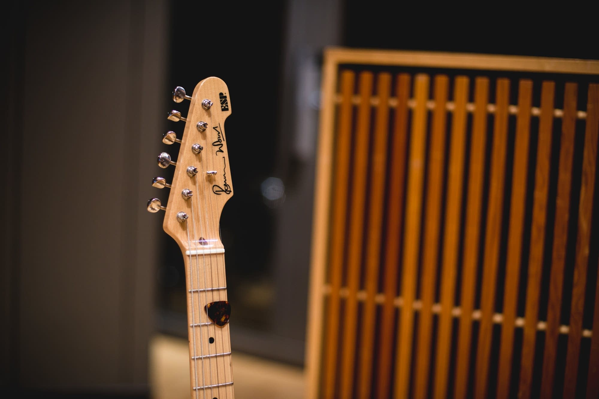 The Current's Guitar Collection: Esme Patterson, ESP Ronnie Wood model ...