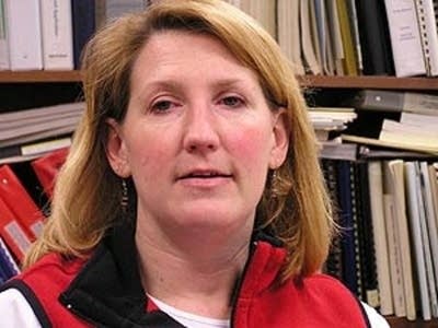 Researchers hunt beach-contaminating bacteria | MPR News