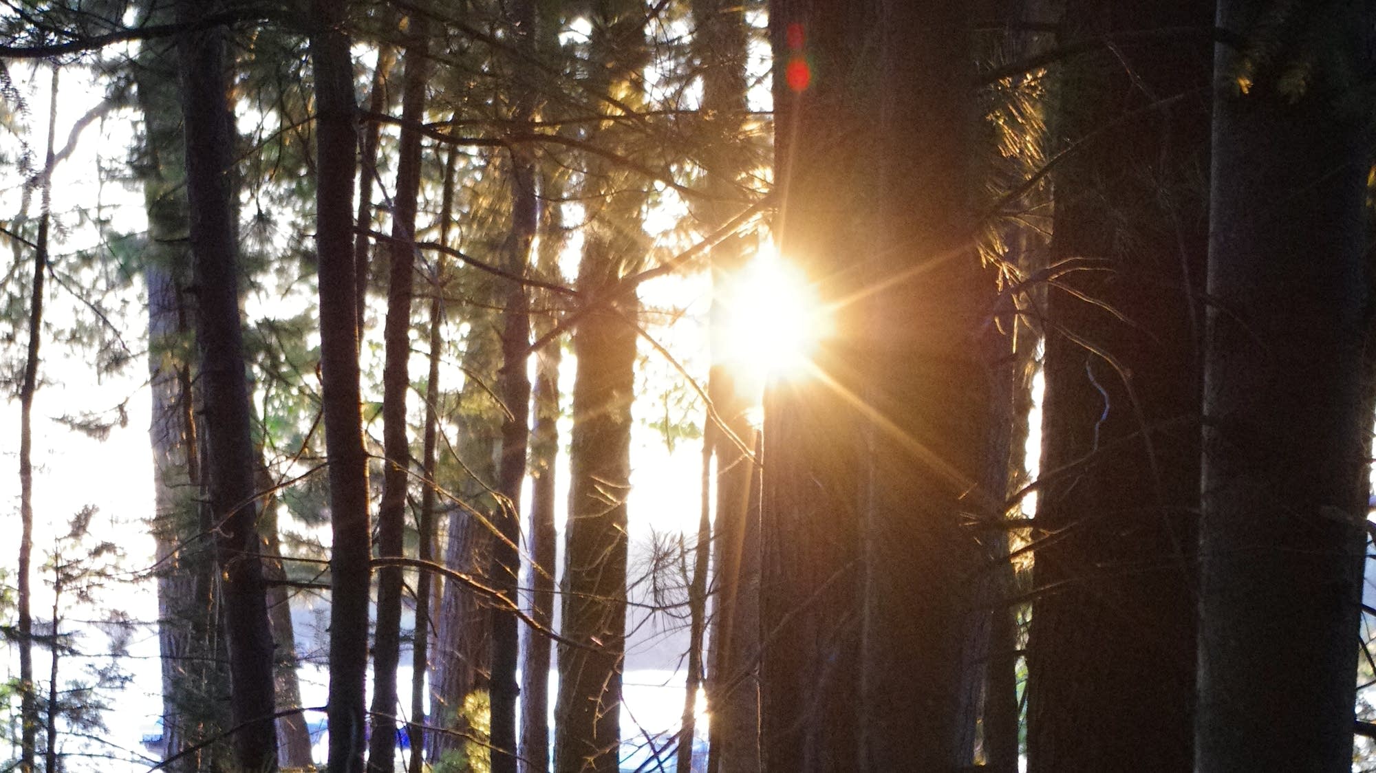 On the nature of daylight