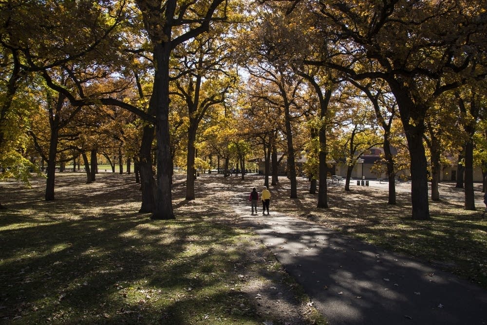 We're No. 1: St. Paul, Mpls. tied atop best U.S. city parks list | MPR News