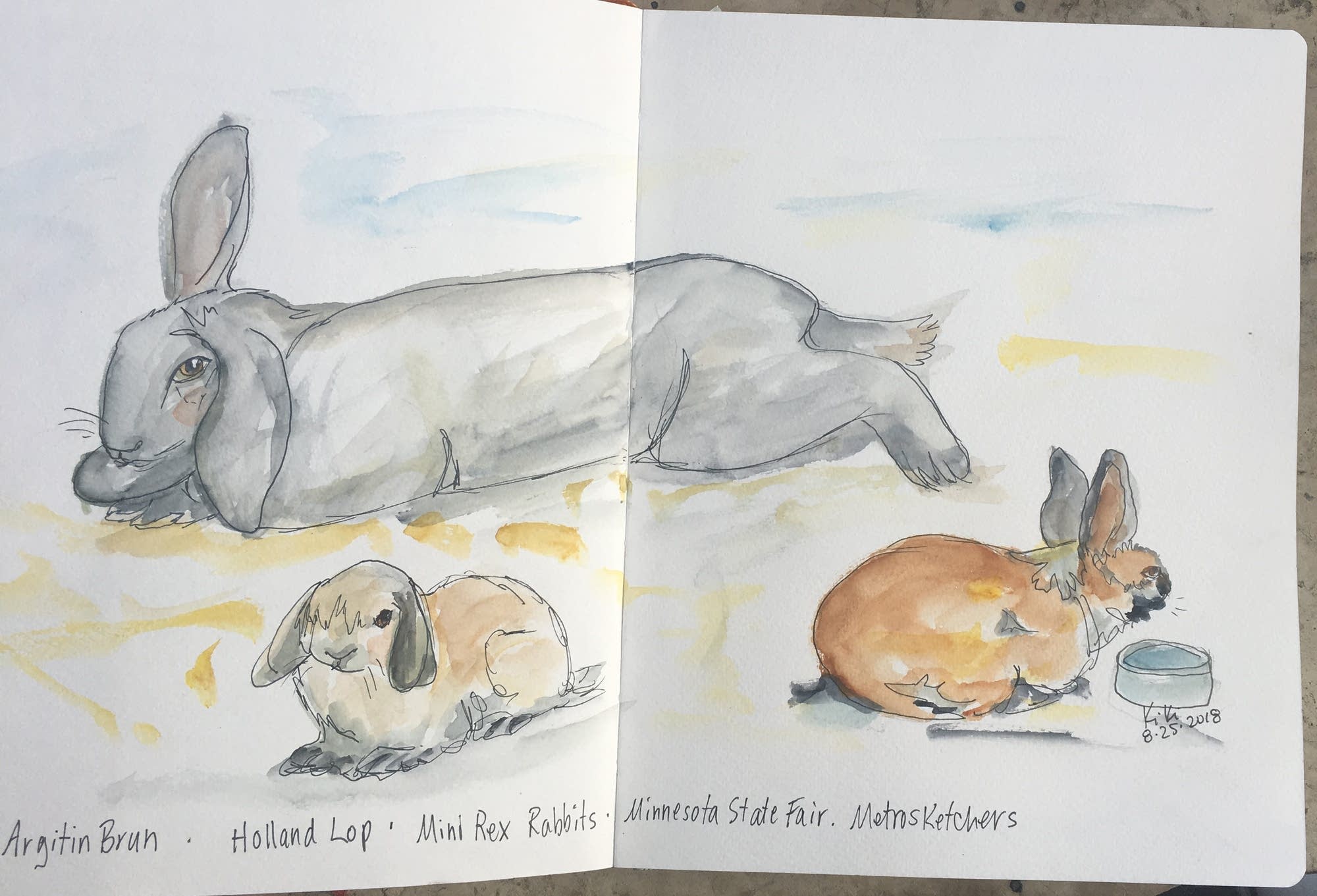 Photos: Artists capture State Fair's energy with sketches | MPR News