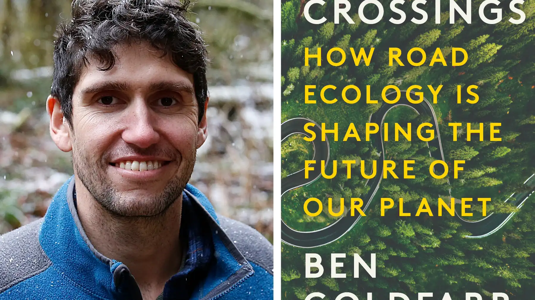 Rethinking roads | MPR News