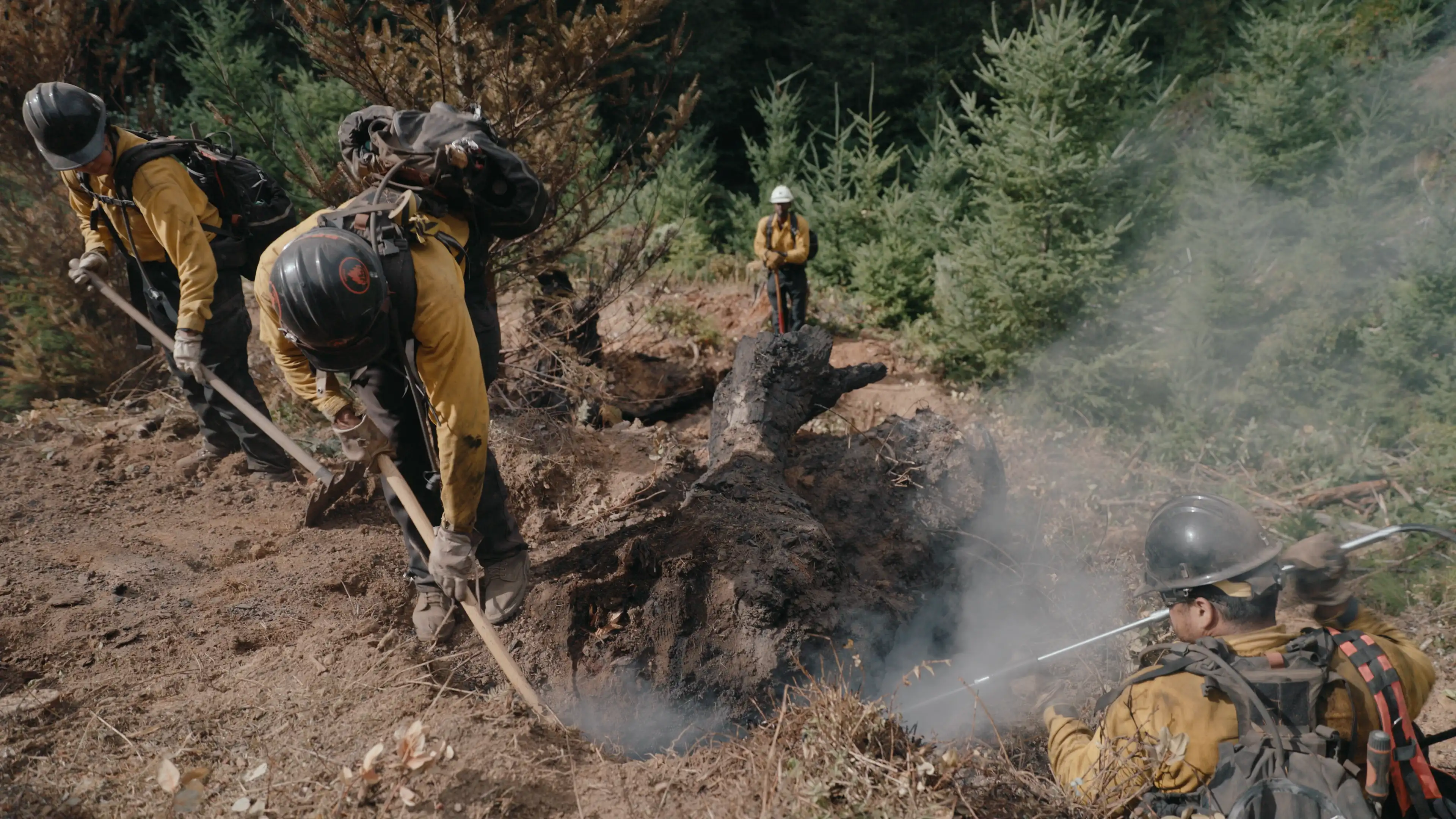 Nonprofits help formerly incarcerated firefighters get jobs - Marketplace