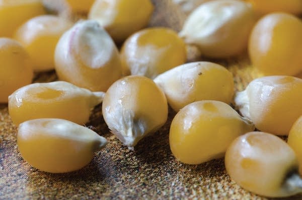 Bitter Buttered Popcorn | The Splendid Table