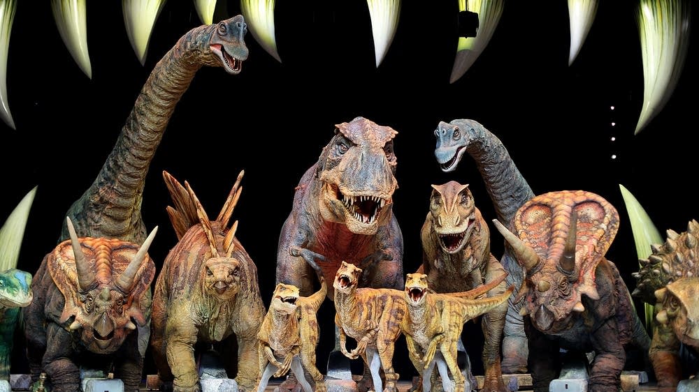 You voted triceratops tops in bracket fight | MPR News