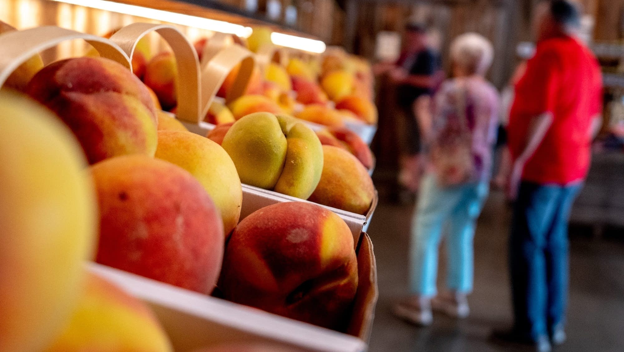 Why are peaches so expensive this summer? - Marketplace