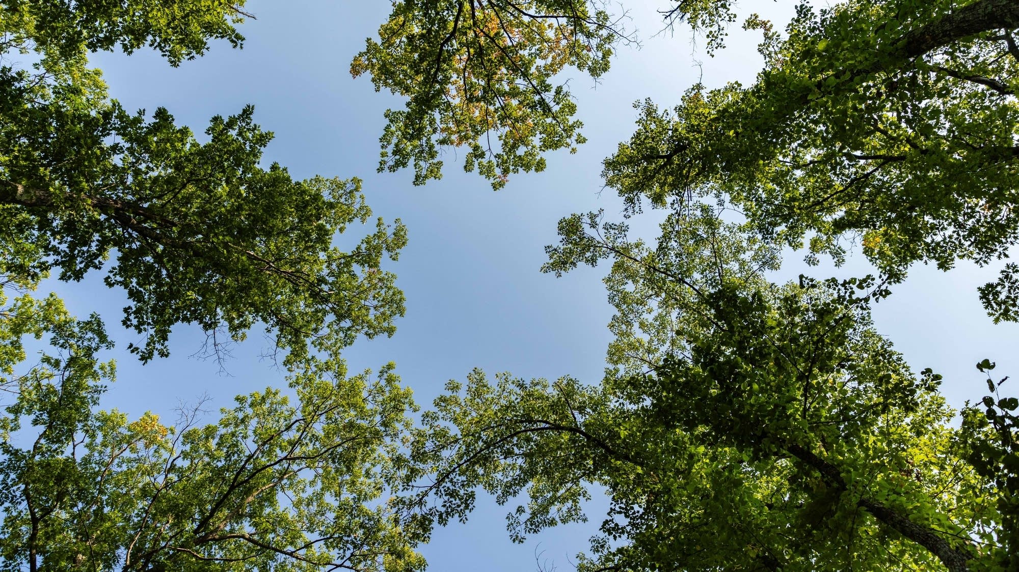 So far this month marks the third warmest September in state history ...