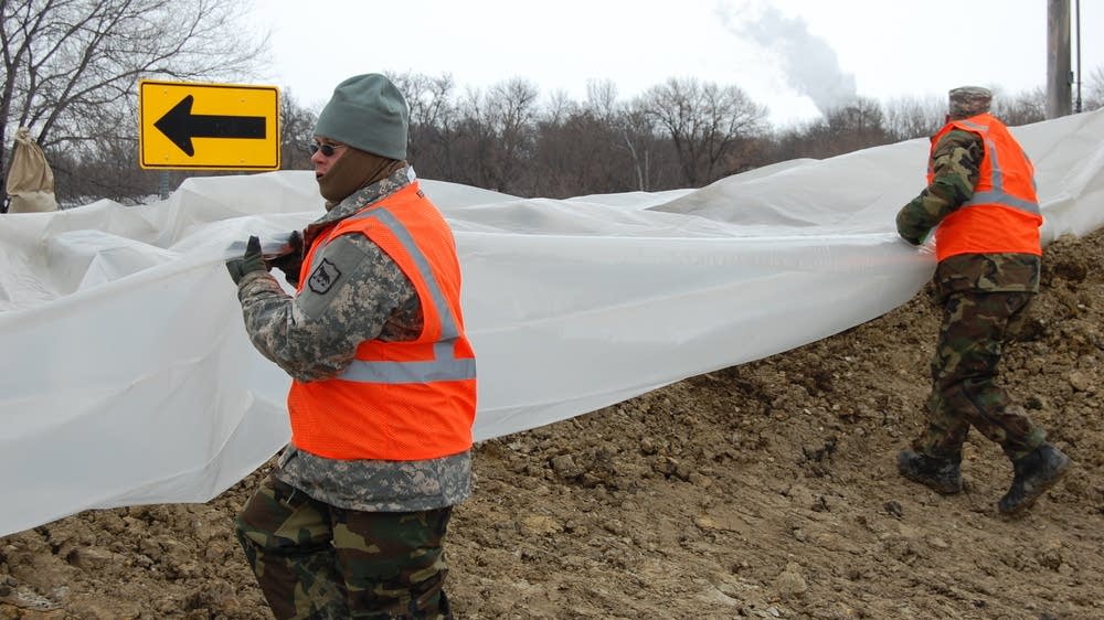 Plastic and potatoes help protect earthen dikes | MPR News