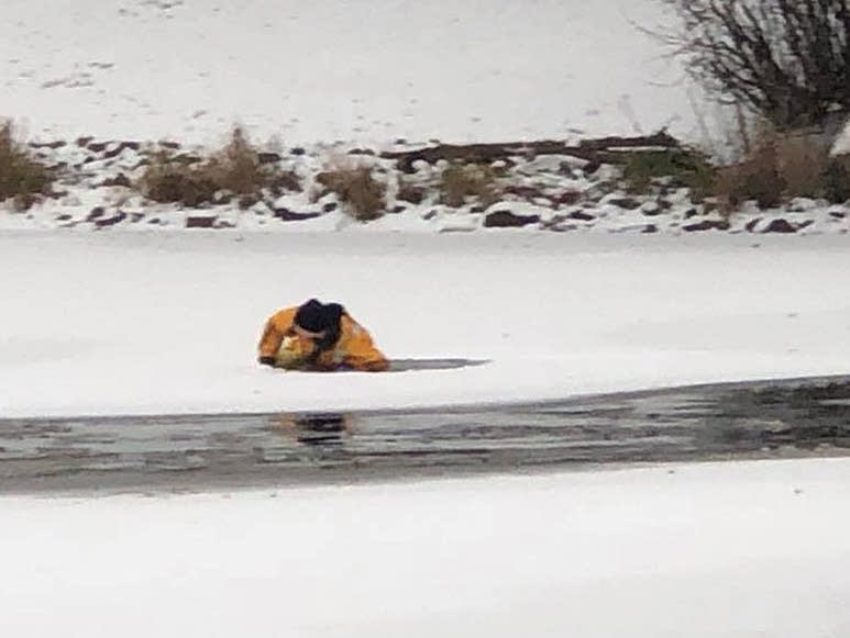 Minnesota rescue crews save deer, dog -- and a human, too -- from thin ...