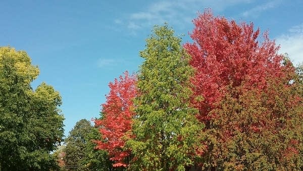 Mild Wednesday; and then not so mild | MPR News