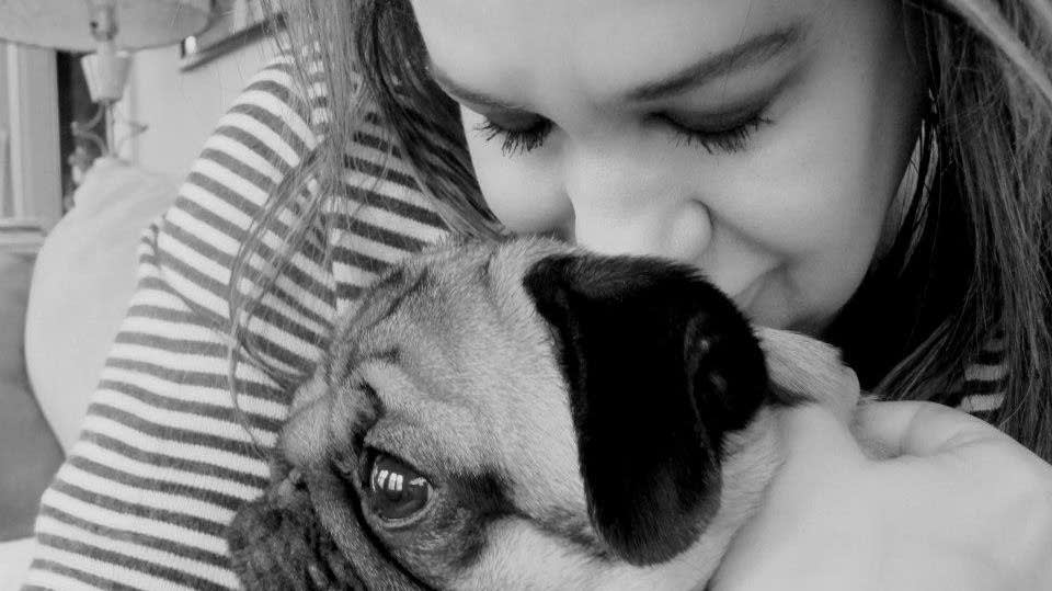 For the love of ‘The People’s Pug’ | MPR News
