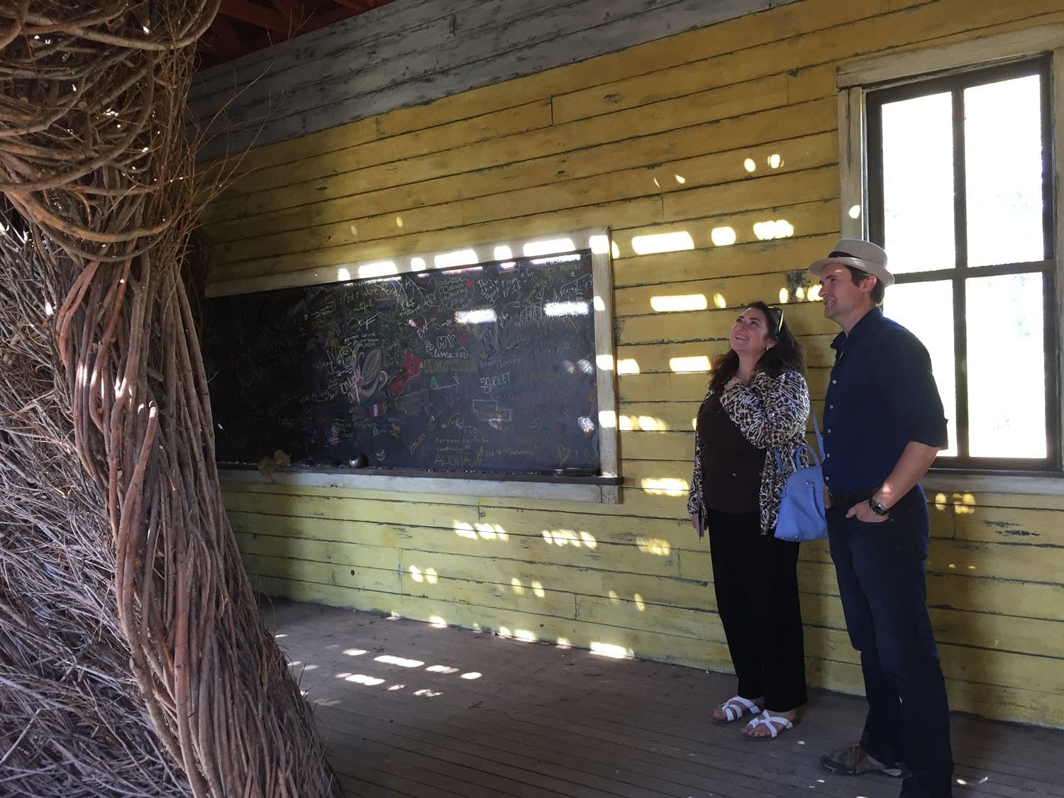 Immersed in beauty: music from Tippet Rise