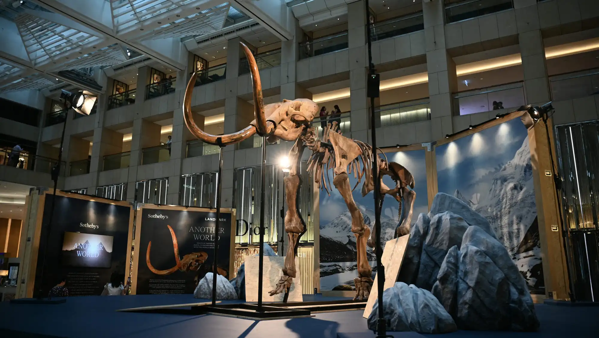 This startup wants to bring back the woolly mammoth (kinda sorta)