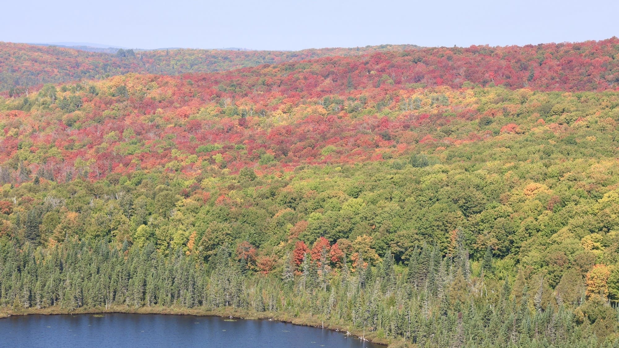 Northern Minnesota fall colors happening quickly | MPR News