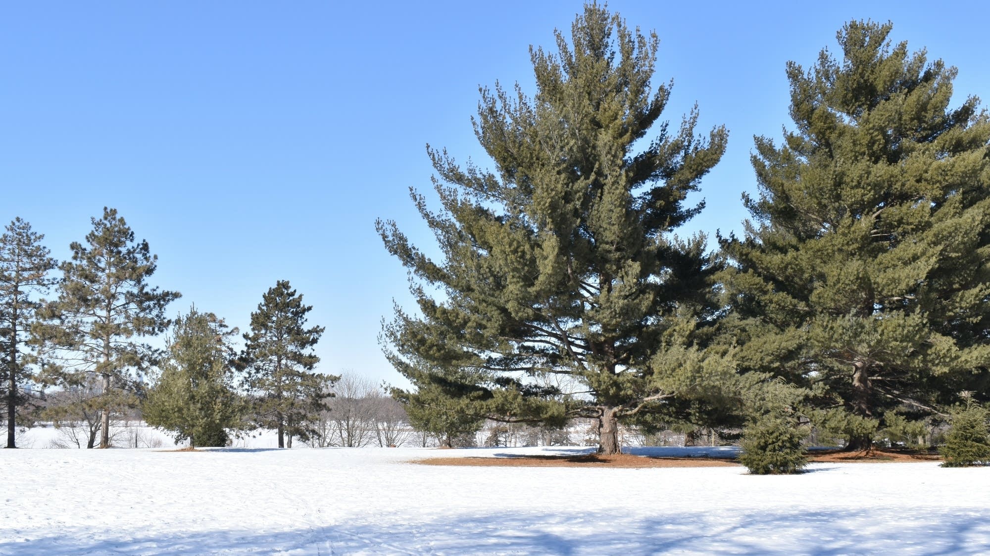 Cold and windy Saturday; snow returns Christmas afternoon/evening | MPR ...