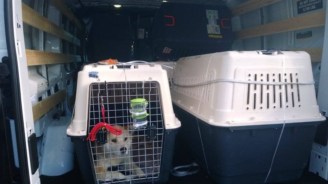 Dog rescue mission saved by a Stillwater officer with a love for pups ...