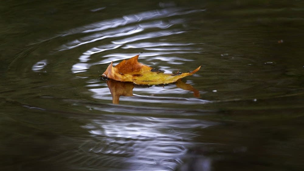 Occasionally wet, windy, cool Friday; brighter through the weekend ...