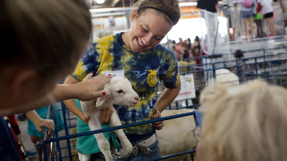 Minnesota State Fair breaks all-time attendance record | MPR News
