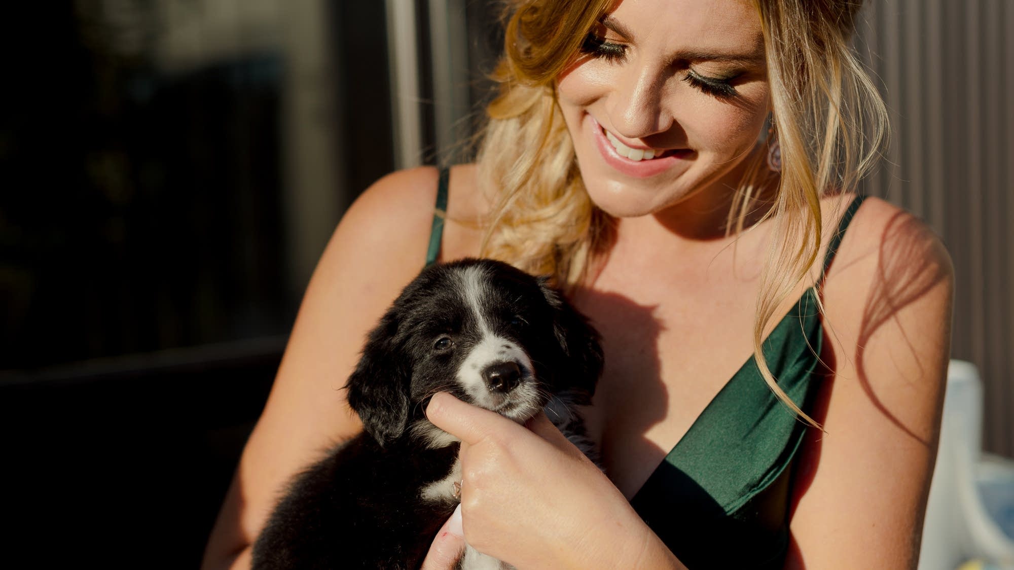 An animal rescue tries to keep pets with families before they're ...