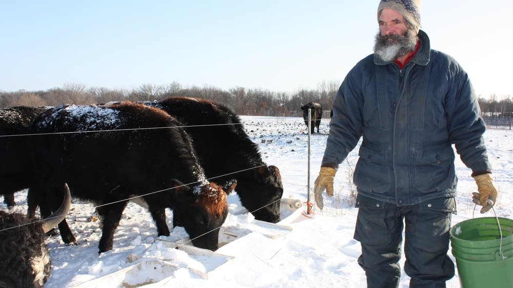 Minnesota farmer is attached to his yak | MPR News