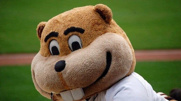 Why Goldy Gopher got punched in the face | MPR News