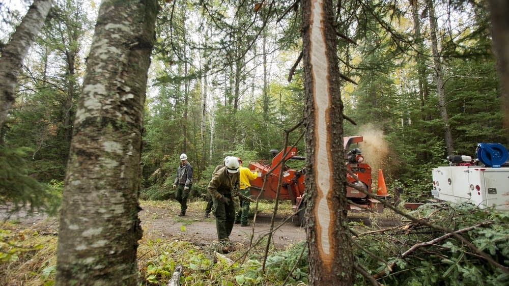 BWCA fire mostly contained, but wind poses risk | MPR News