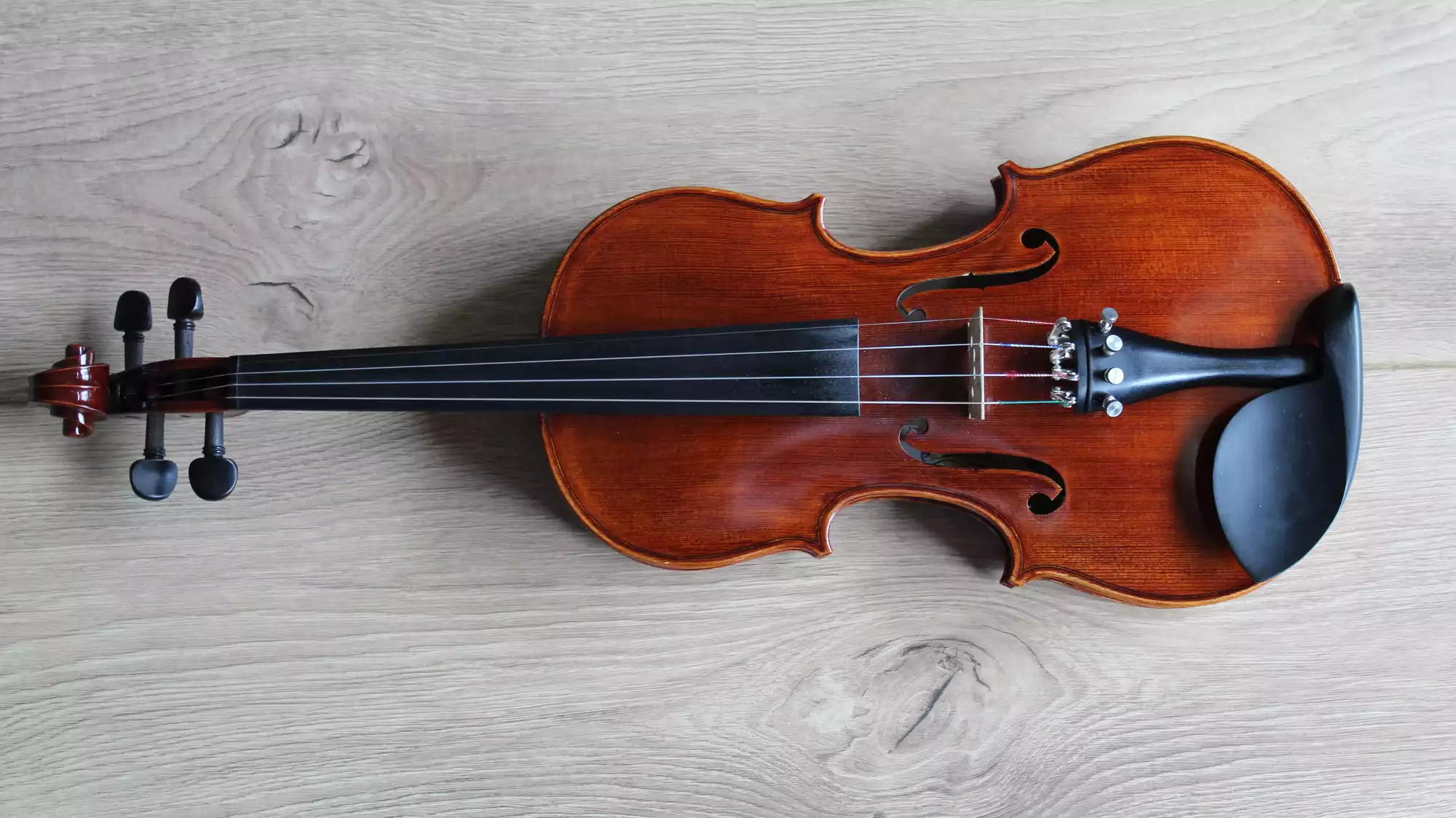 Modern Viola