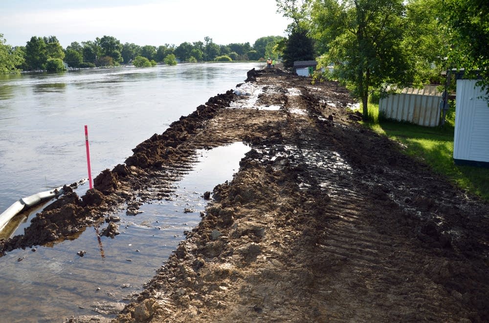 More evacuations in Minot as flood outlook worsens | MPR News